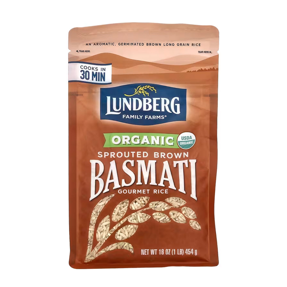 Organic Sprouted Brown Basmati Gourmet Rice Gluten Free, 454gm ...