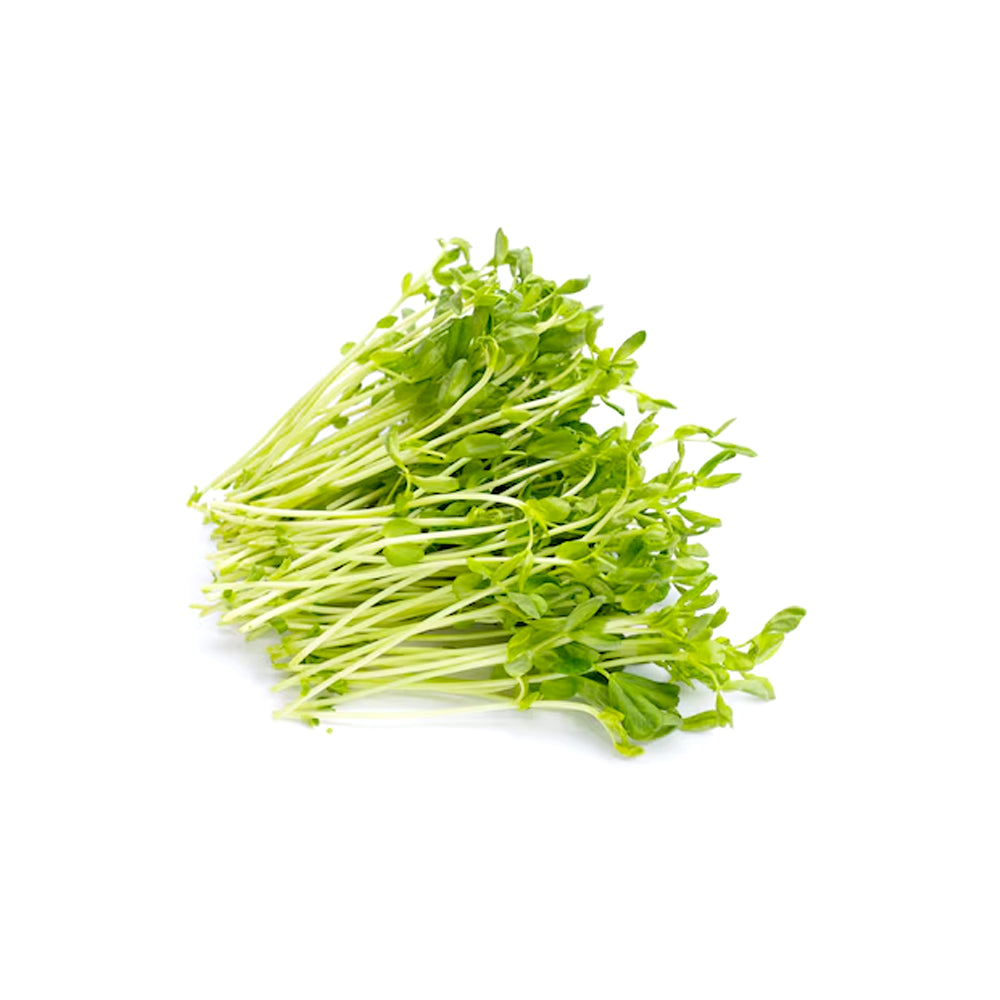Organic Pea Sprouts (Asia/Malaysia), 200g – SuperNature