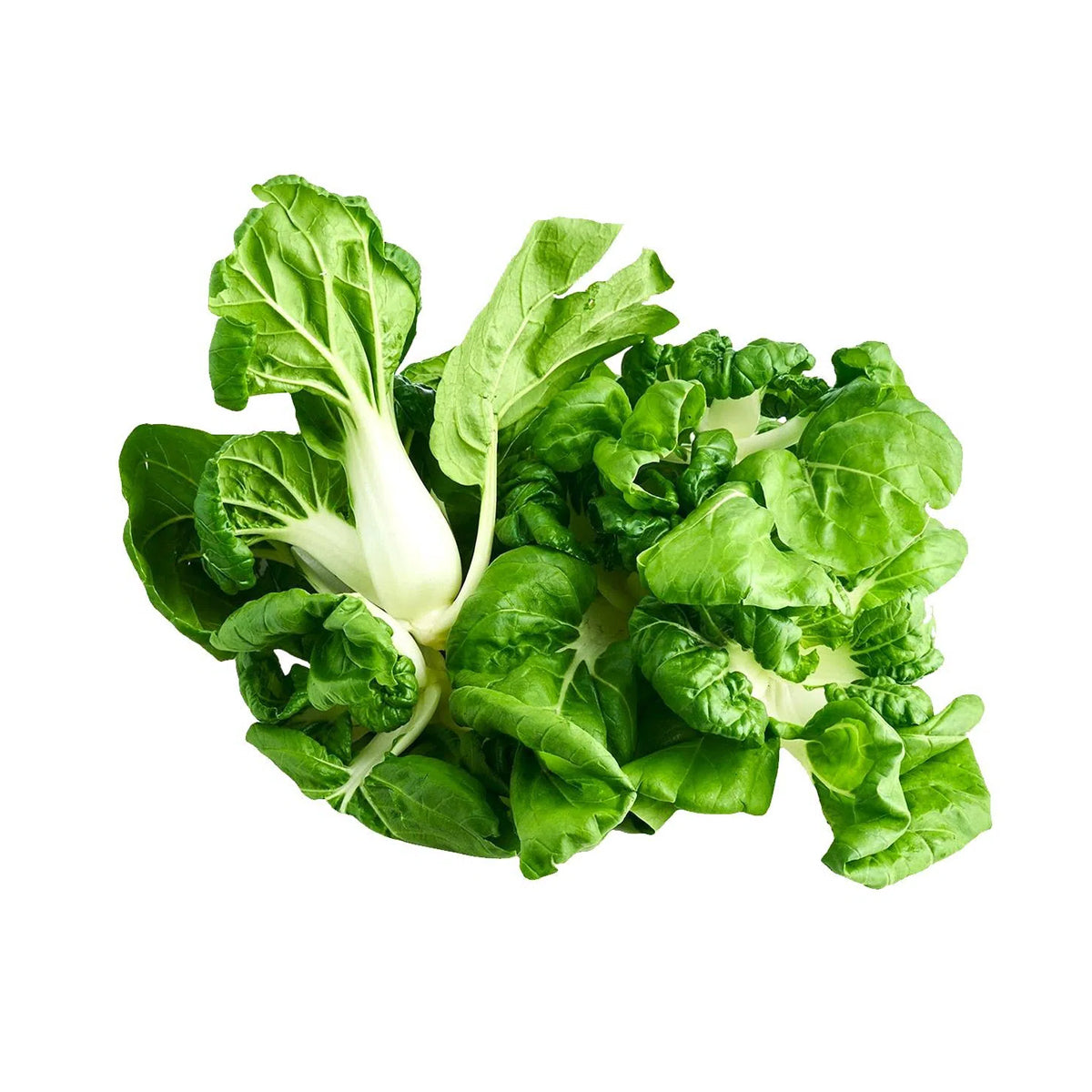 Organic Nai Bai (Asia/Malaysia), 250g – SuperNature